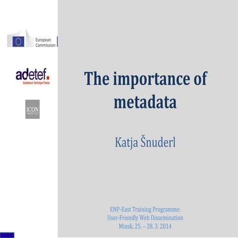 The Importance of Metadata | PPTX | Databases | Computer Software and Applications