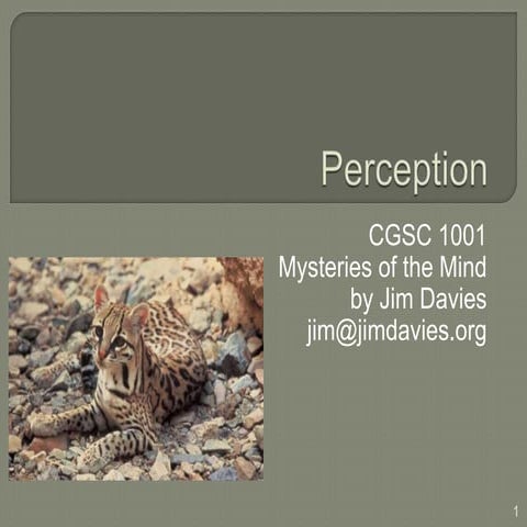 Presentation 1 perception | PPTX
