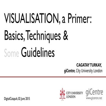 Visualization, A Primer - Basics, Techniques and Guidelines | PPT