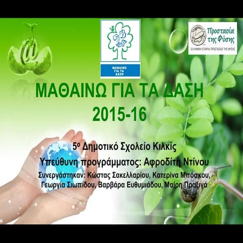 ΤΟ ΔΑΣΟΣ | PPT