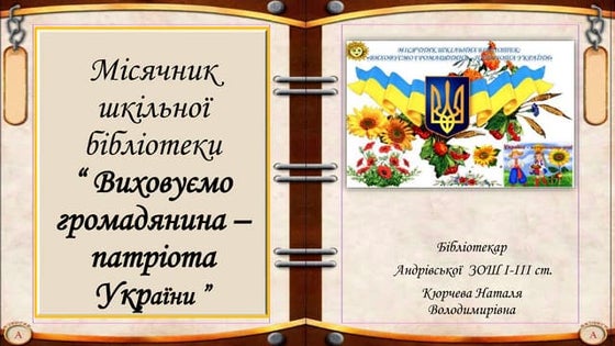 Bridger Insight brochure | PDF