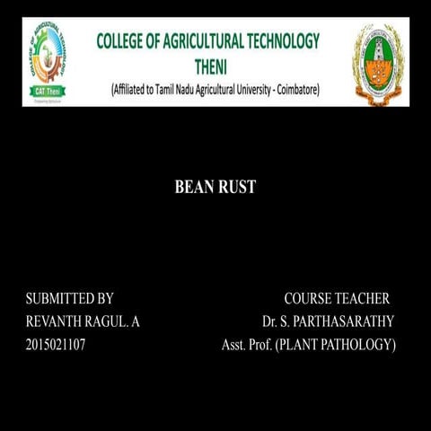 BEAN RUST | PPTX