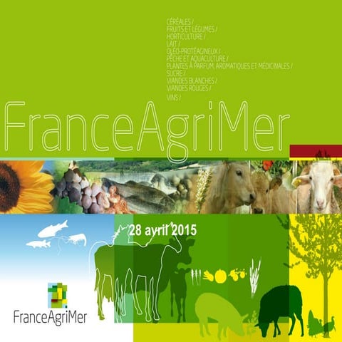 Présentation FranceAgriMer (english version) | PPT