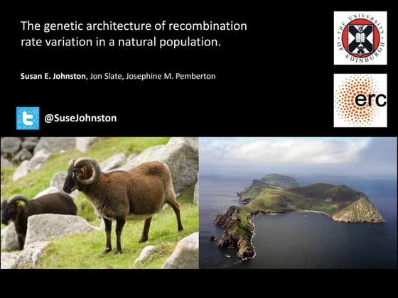 Rare Genetic Mutations Contribute To Alopecia Areata Etiology Ppt