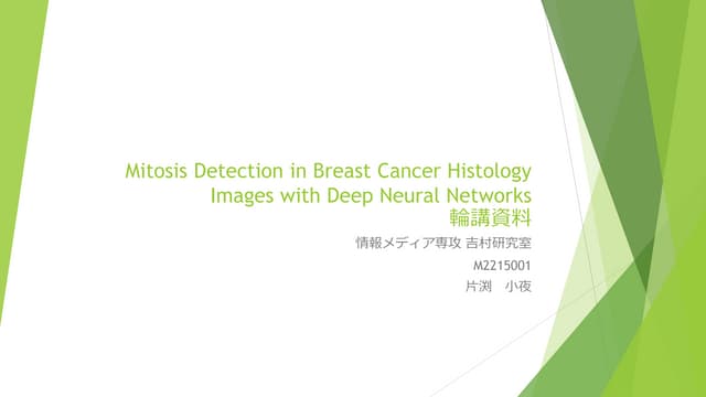 輪講用資料「mitosis Detection In Breast Cancer Histology Images With Deep