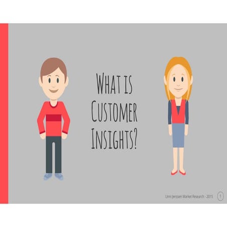 What is Customer Insights? | PDF