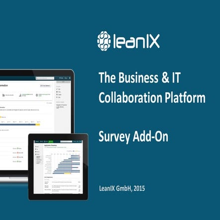 Enterprise Architecture Surveys with LeanIX | PDF