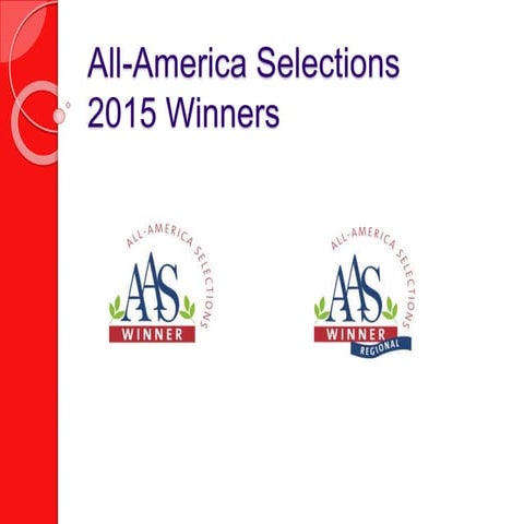 2015 AAS Winners | PPTX