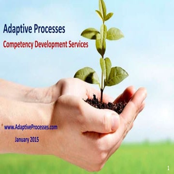 Adaptive Processes's competency development services | PPT