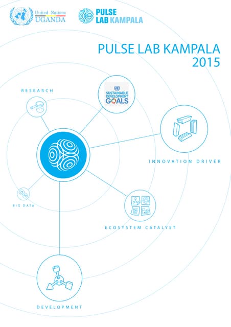 Paula Hidalgo-Sanchis (Pulse Lab Kampala): A Data Revolution for ...