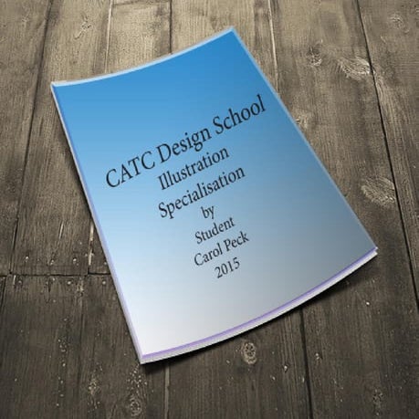 2015 catc design school specialisation assignment2 illustration | PDF