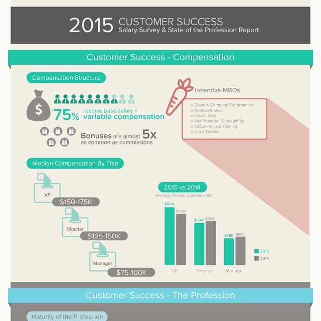 2015 customer success salary & state of the profession infographic | PDF