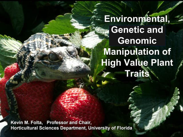 Breeding for Quality traits in Groundnut | PPTX