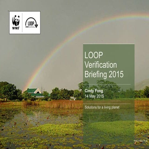 2015 Loop Verification Member Briefing Ppt