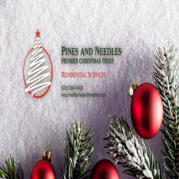 Christmas tree deck | PPTX