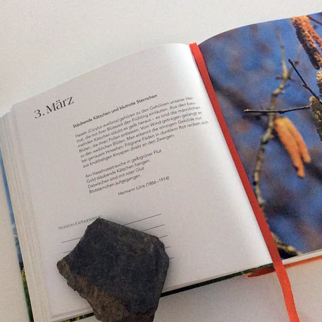 Spring is arriving | PDF