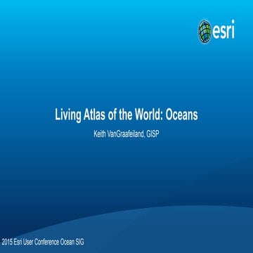 Imagery Interpretation for Coastal and Marine Spatial Planning | PDF