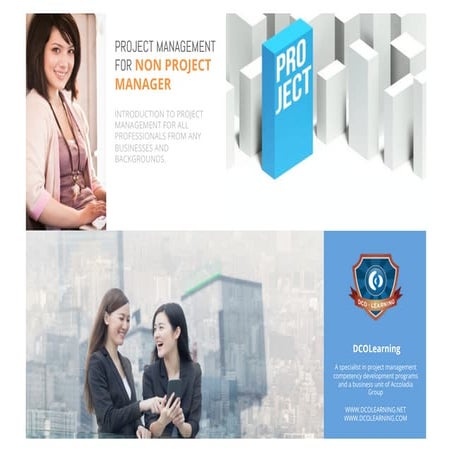 2016 | E-Brochure | Project Management for Non Project Manager - PMNPM ...