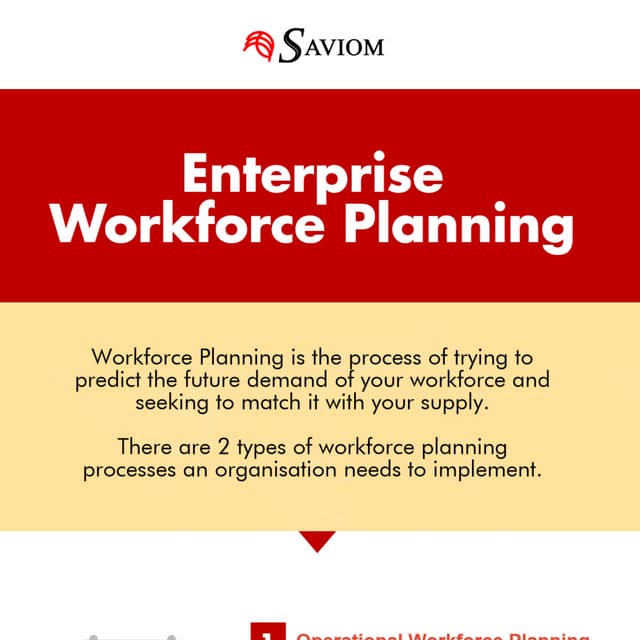 Enterprise Workforce Planning | PDF