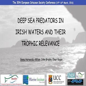 DEEP SEA PREDATORS IN IRISH WATERS AND THEIR TROPHIC RELEVANCE | PPT