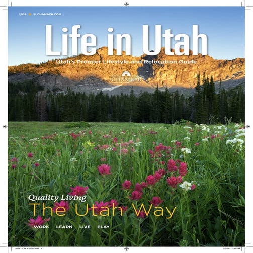 Life in Utah 2016 | PDF