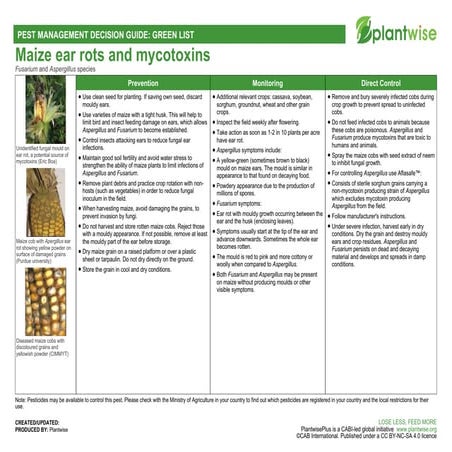 2016-maize-ear-rots-and asociated mycotoxins.pdf