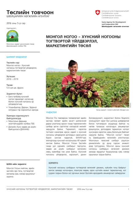 Factsheet mpp mng | PDF