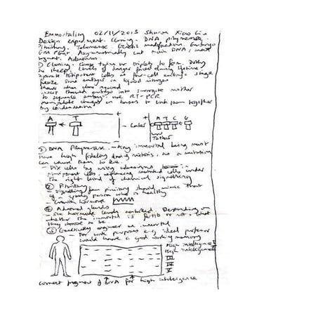 20160130 Immortality Project | DOCX