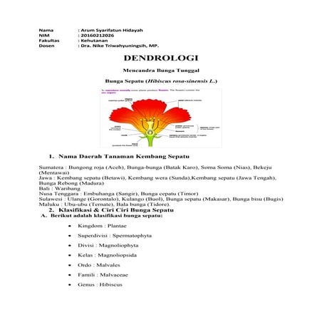 makalah dendrologi-mencandra bunga tunggal | PDF