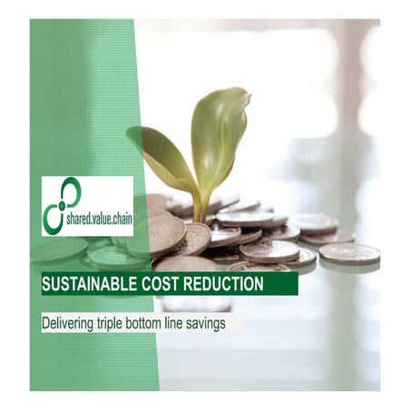 Sustainable Cost Reduction Primer | PDF