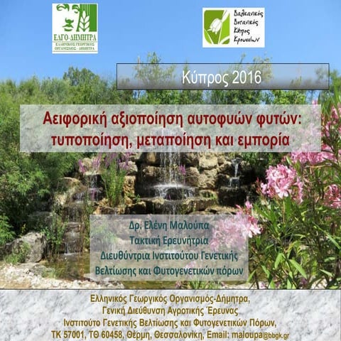 Εργαστήρι στo ΙΓΕ με θέμα "Βιωματικό Εργαστήρι για τα Αρωματικά και ...