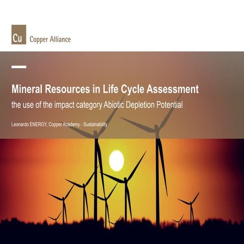 Mineral Resources in Life Cycle Assessment | PDF