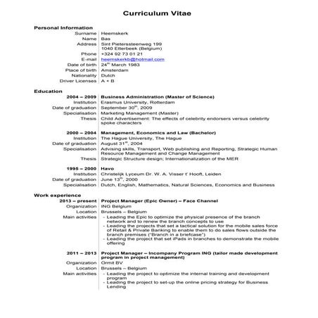 Bas Heemskerk - cv (English) | PDF