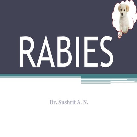 1.RABIES Awareness Presentaion powerpoint | PPTX