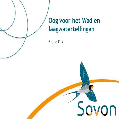 Oog voor het wad | PPT