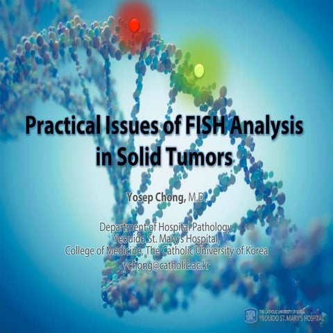 Practical Issues of FISH in Solid Tumors | PDF