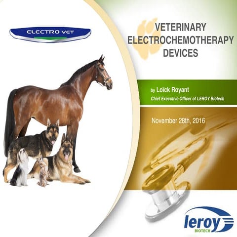 Electrochemotherapy : principles, sessions, case studies, and machines ...
