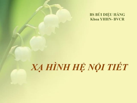 BỆNH LÝ TỦY VÀ VÙNG QUANH CHÓP | PPT