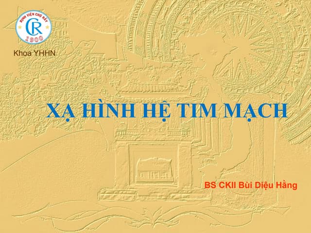 BỆNH LÝ TỦY VÀ VÙNG QUANH CHÓP | PDF
