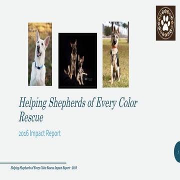 Helping Shepherds of Every Color Rescue 2016 Impact Report | PPT