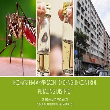 Ecosystem approach to dengue control | PDF