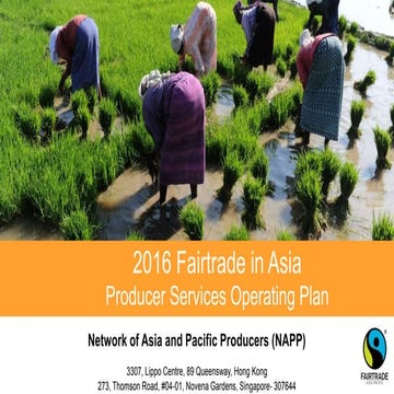 Producer Services Plan | PPT