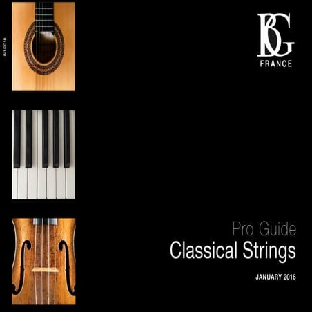 PRO Guide BG France Flute | PDF