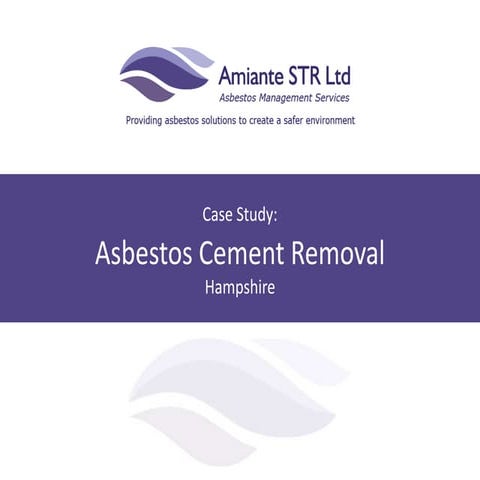 Awethu Scaffold Profile PDFb 2015 | PDF
