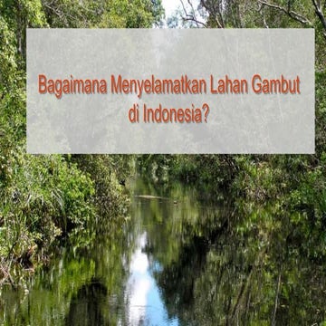Makalah konservasi gambut | DOCX