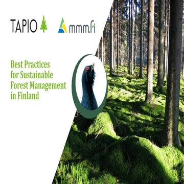 Best Practices for Sustainable Forest Management in Finland | PPTX