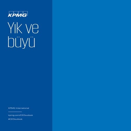 2017 ceo-outlook | PDF