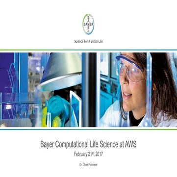 Bayer Case Study “Scientific Computing” | PPT