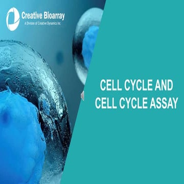 Cell cycle and cell cycle assay | PPTX | Biological Sciences | Science