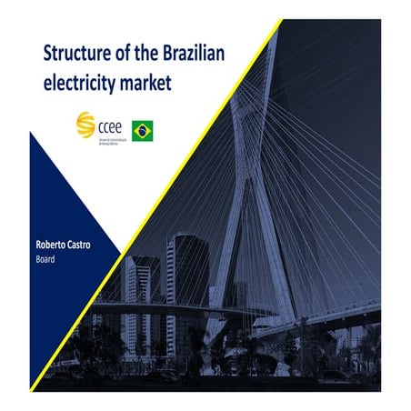 Structure of the Brazilian electricity market | PDF